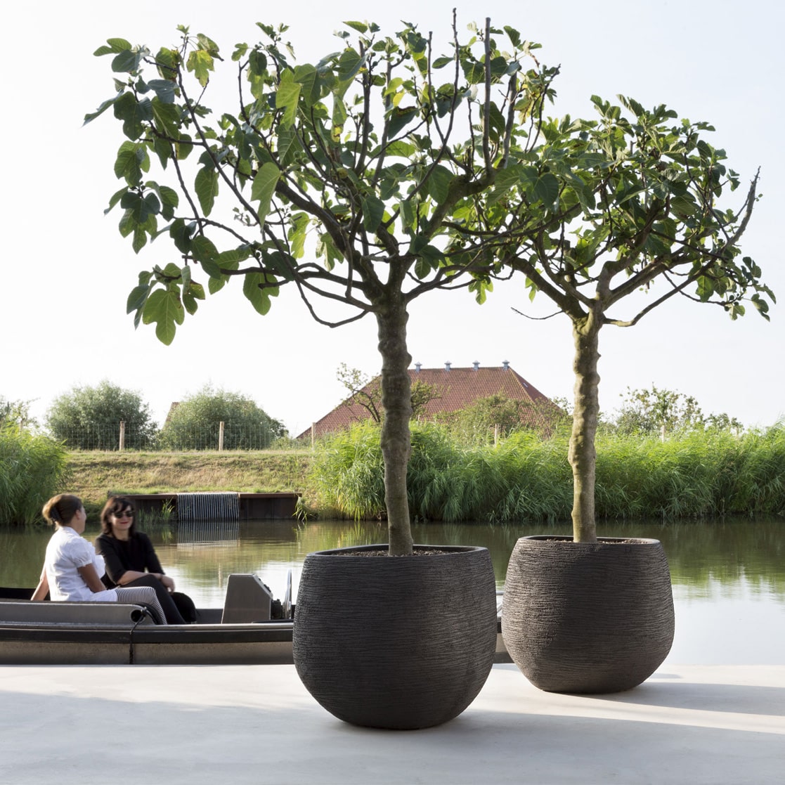 Planter OD Collection | Outdoor Living & Planters | Robey's